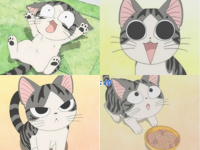[Anime] Chi's sweet home ⋆ Souvenirs à venir